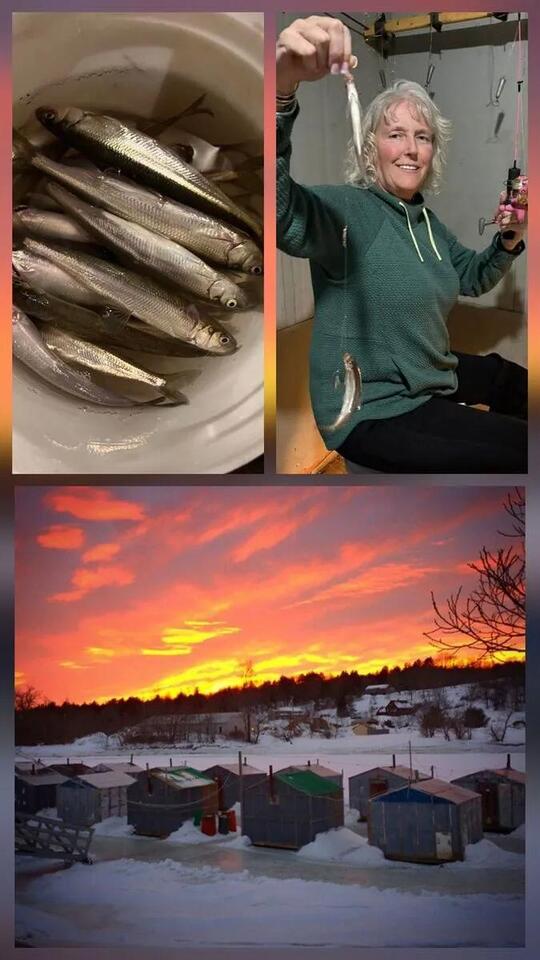 After a limited season last winter, smelt shacks return to the Kennebec ...
