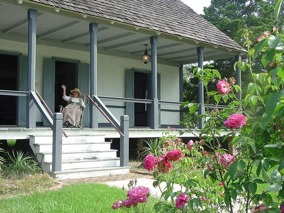 Survey: Downtown Lafayette Opposes Jefferson Street Mardi Gras - NewsBreak