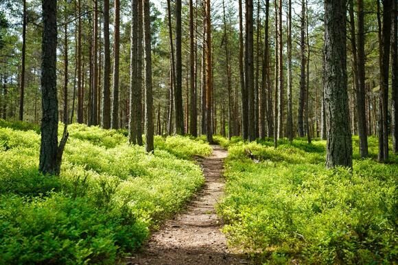 These are the top hiking trails in America - NewsBreak