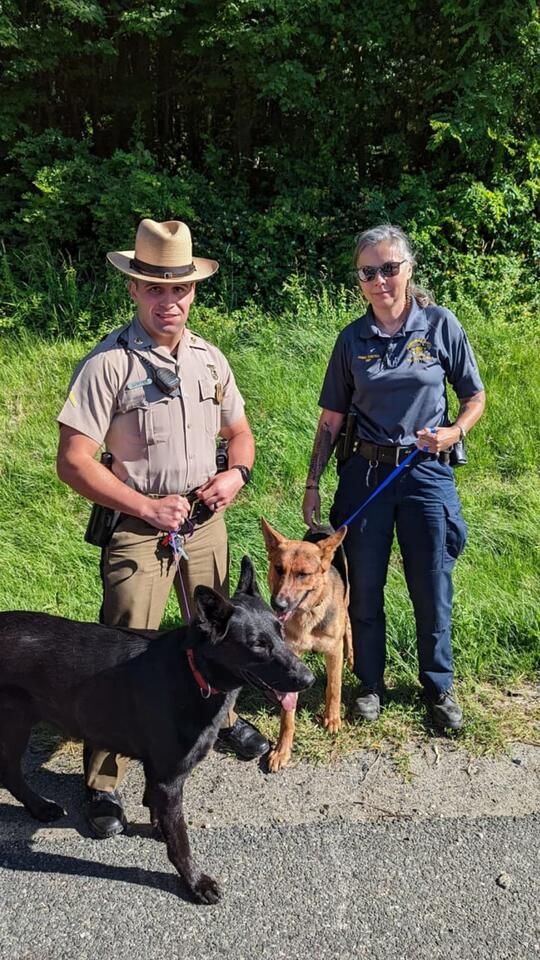 Maryland State Police Trooper Rescues German Shepherds In Harford ...