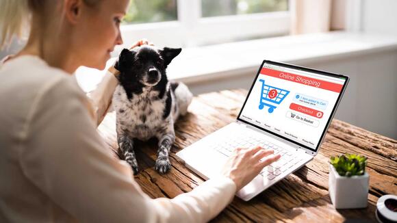 11 Cost-Cutting Tips Every Dog Owner Can Use - NewsBreak