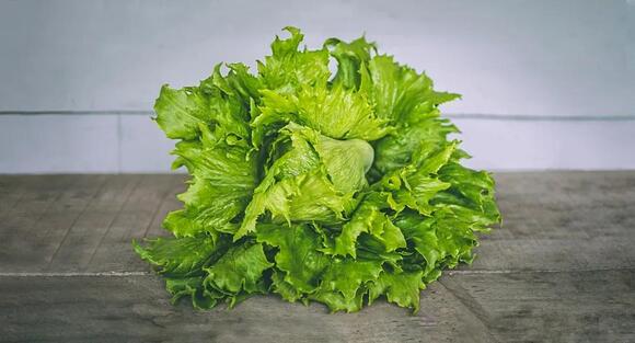 What Astronauts Discovered About Growing Food in Space That Changes ...