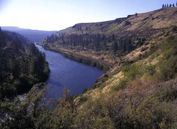 Columbia River Oil Spill Sparks Urgent Clean-Up at Priest Rapids ...