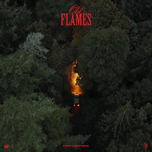 La Roux Announces New Album Old Flames For November 2026 Release ...