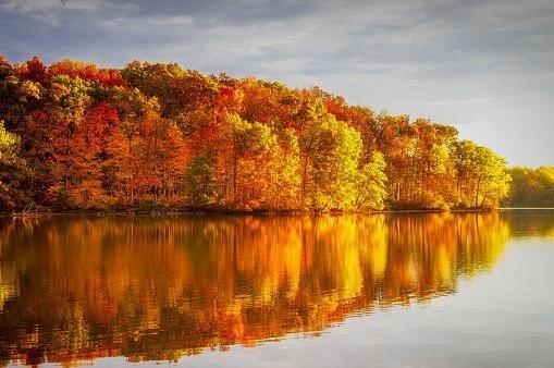 When To See Stunning Fall Colors In Illinois This Year - NewsBreak
