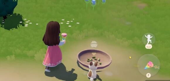 Heartopia: Complete Animal Favorite Foods Guide - NewsBreak