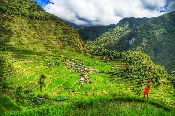 Agroforestry in the Philippines: Combining Agriculture and Forest ...