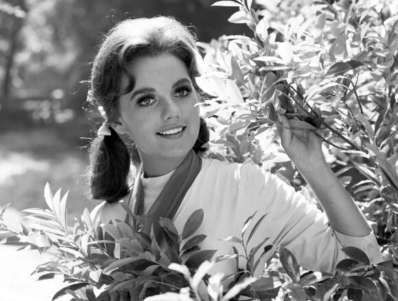 Remember Mary Ann Summers From Gilligan’s Island? This Is Her Life In ...