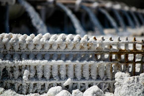 How Fossils Are Made A Step-by-Step Journey Through Deep Time - NewsBreak