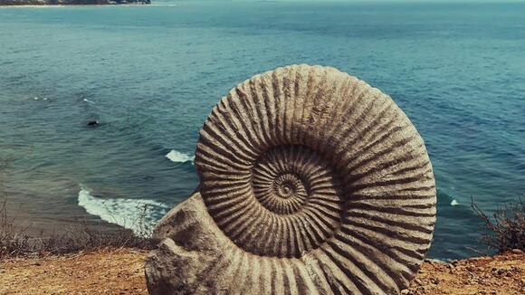 Deep Ocean Trenches Harbor Undiscovered Living Fossils From Ancient ...