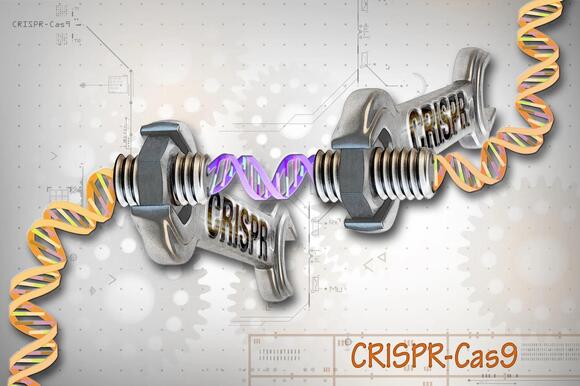 How Dr. Jennifer Doudna’s Development of CRISPR Gene Editing is ...
