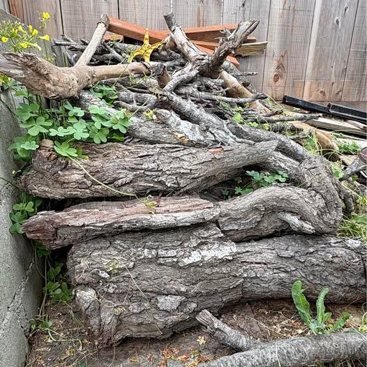 🎁 Freebies Up for Grabs in Salinas — From Cribs to Firewood - NewsBreak