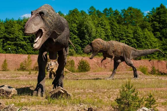 Which 3 Prehistoric Apex Predators Ruled the North American Continent ...