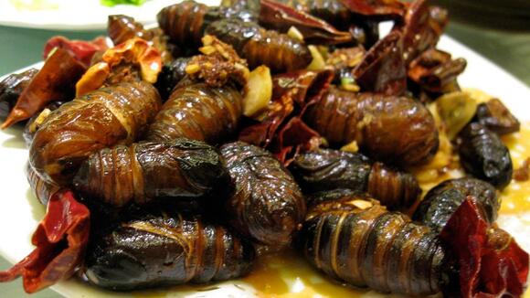 20 Adventurous Foods You Should Try At Least Once - NewsBreak