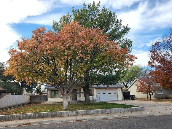 Amarillo Fall 2025 Weather Forecast and First Snow Dates - NewsBreak