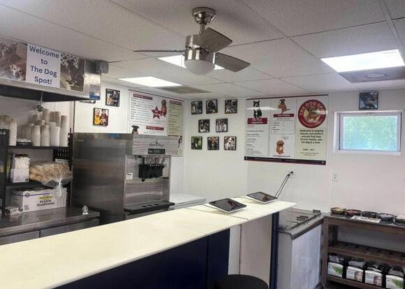 Grand Opening of The Dog Spot in Lawrence on Tuesday - NewsBreak