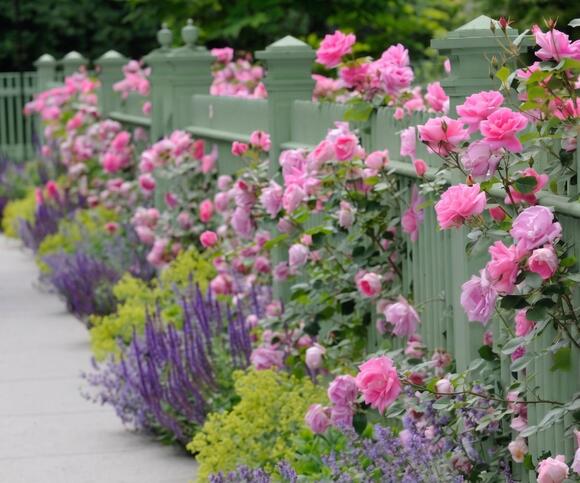 Forget White Picket Fences; Paint Your Fence This Color to Add Serious ...