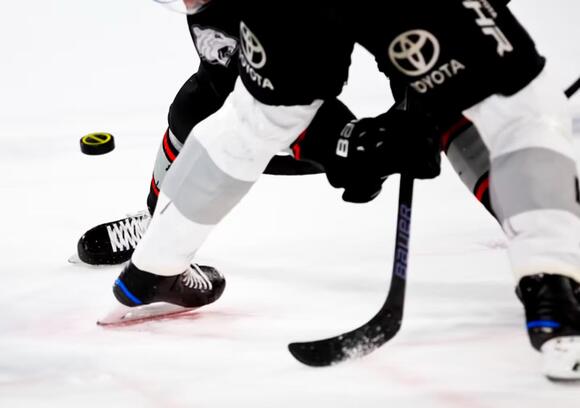 Watch: Viral Hershey Bears Youth Hockey Brawl Hits 16+ Million Views ...