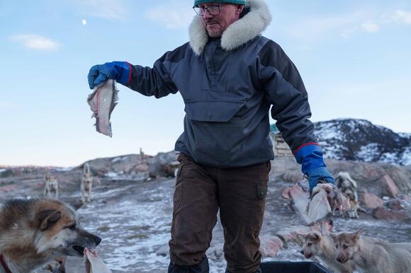 A Greenland sled dog champion fears for his culture as climate change ...
