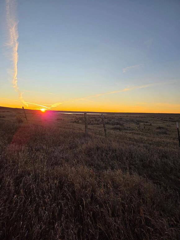 Concerns Rise Over Water Use For New Data Center In Montana - NewsBreak