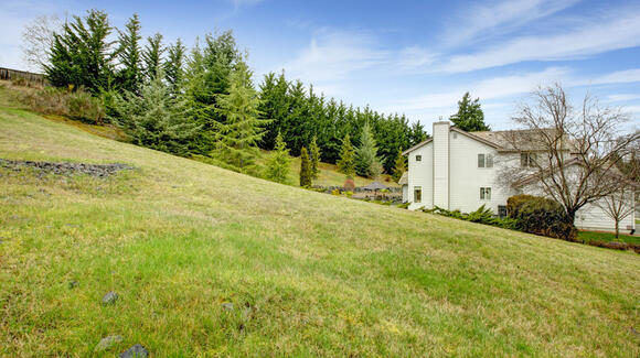 The Easy-To-Grow Native Grass That Controls Erosion In Sloped Yards ...