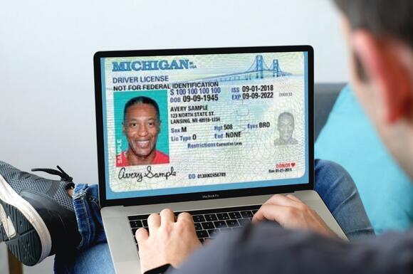 Proposed digital ID would be disallowed for use when voting ...