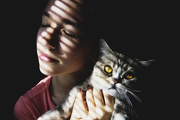 Which Zodiac Signs Cats Turn to for Comfort After Stress - NewsBreak