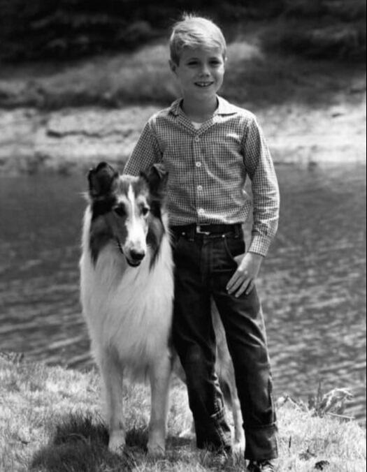 TV's 'Lassie' Icon and Former Child Star Jon Provost is Going Strong at ...