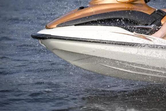 Fort Lauderdale Dog Jet Ski Video Goes Viral Owner Speaks Out - NewsBreak