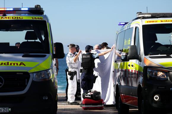 Sydney shark attack victim named as 35-year-old mother Leah Stewart ...