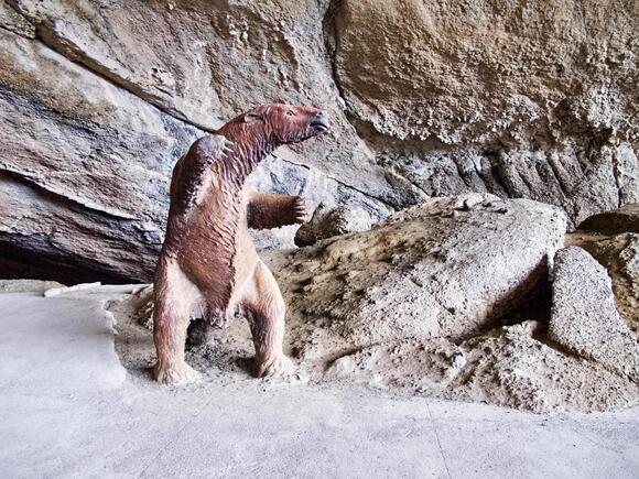 Santiago’s Dinosaur Finds: Chile’s Capital and the Creatures of the ...