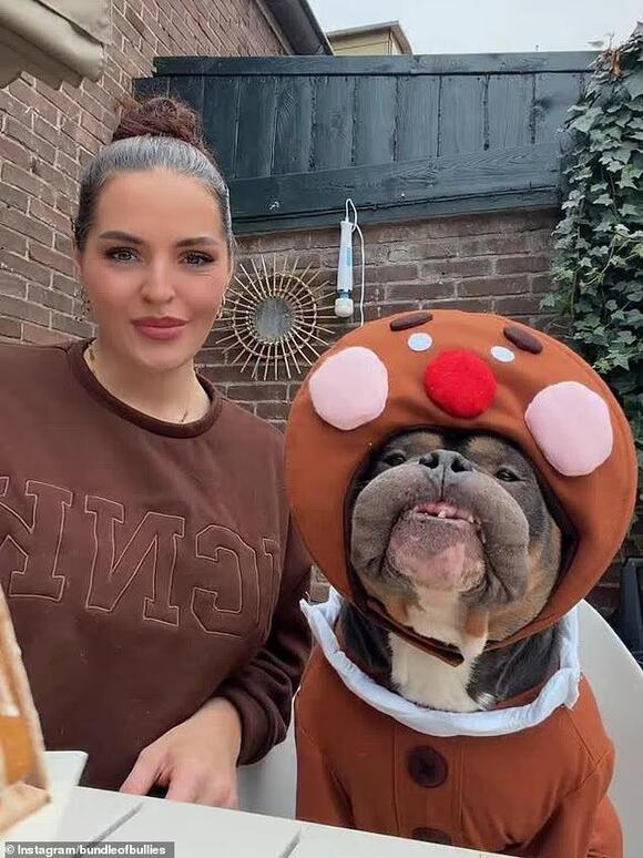 Beloved influencer dog Raffie is dead after Christmas Eve fight with ...