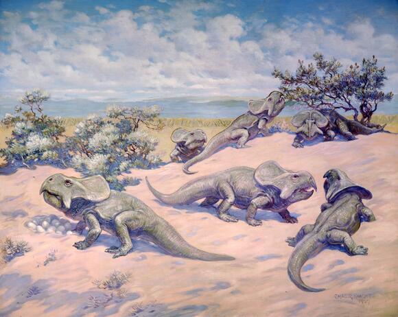 Could Dinosaurs Have Built Societies? - NewsBreak