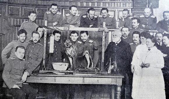 The Impact of Pavlov’s Dogs: How Classical Conditioning Has Shaped ...