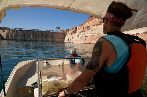 Releasing cool water protects fish in the Grand Canyon. That comes at ...