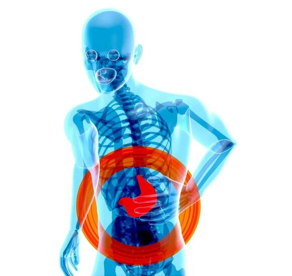 The Acid Barrier: How the Stomach Secretes Mucus to Avoid Digesting ...