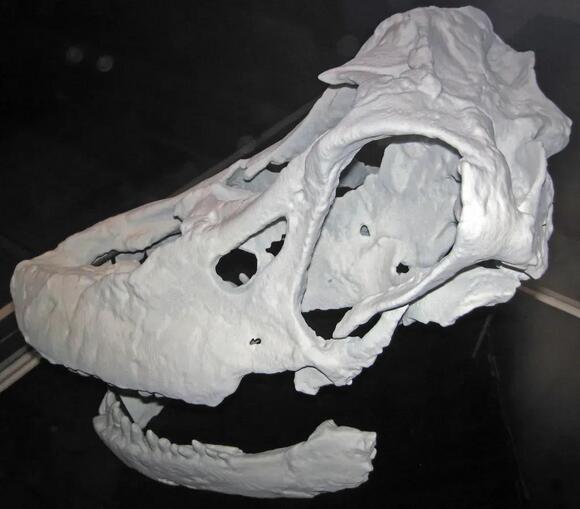 New Imaging Technology is Revolutionizing Our View of Dinosaur Anatomy ...