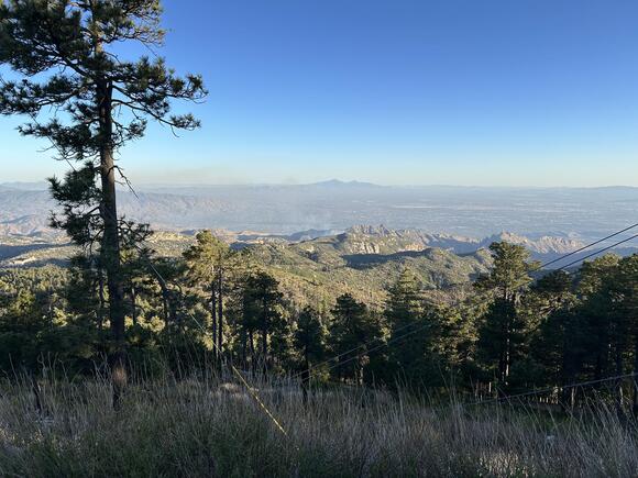 Forward progress stopped for the Sycamore Fire near Mount Lemmon ...