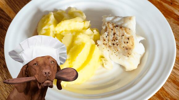 20 Drool Worthy Homemade Recipes for Your Dog - NewsBreak