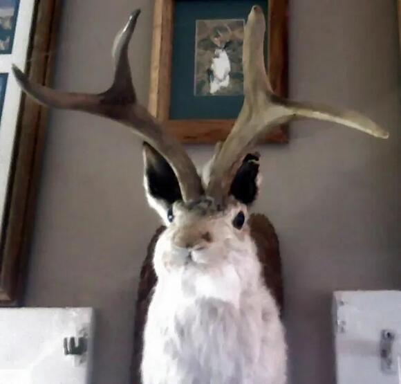 10 Legendary Creatures From US Folklore and Their Meanings - NewsBreak