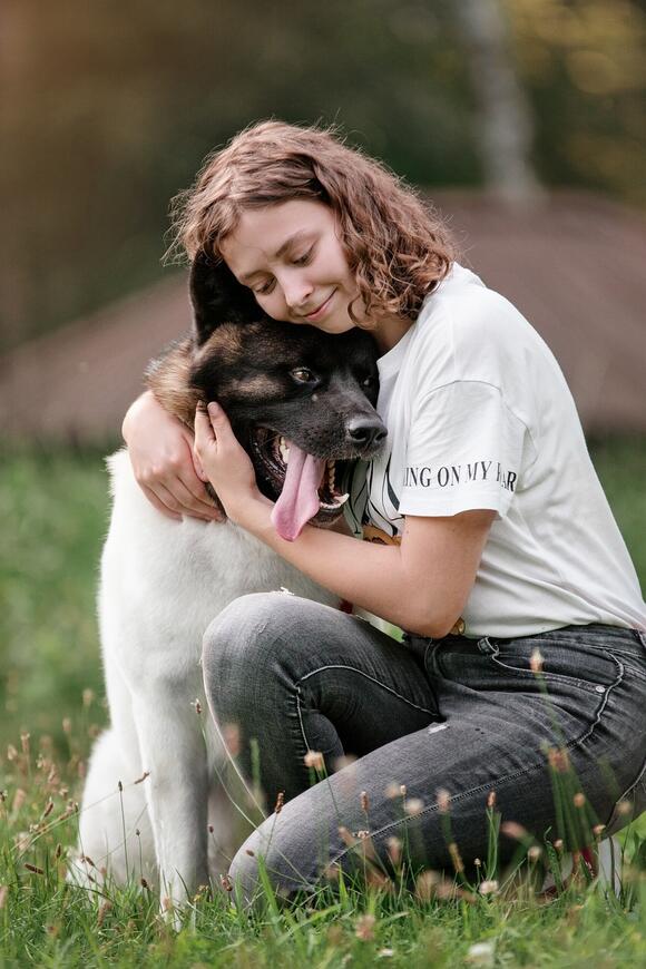 Dog Memory Unlocked: How Long and What Do Dogs Really Remember? - NewsBreak