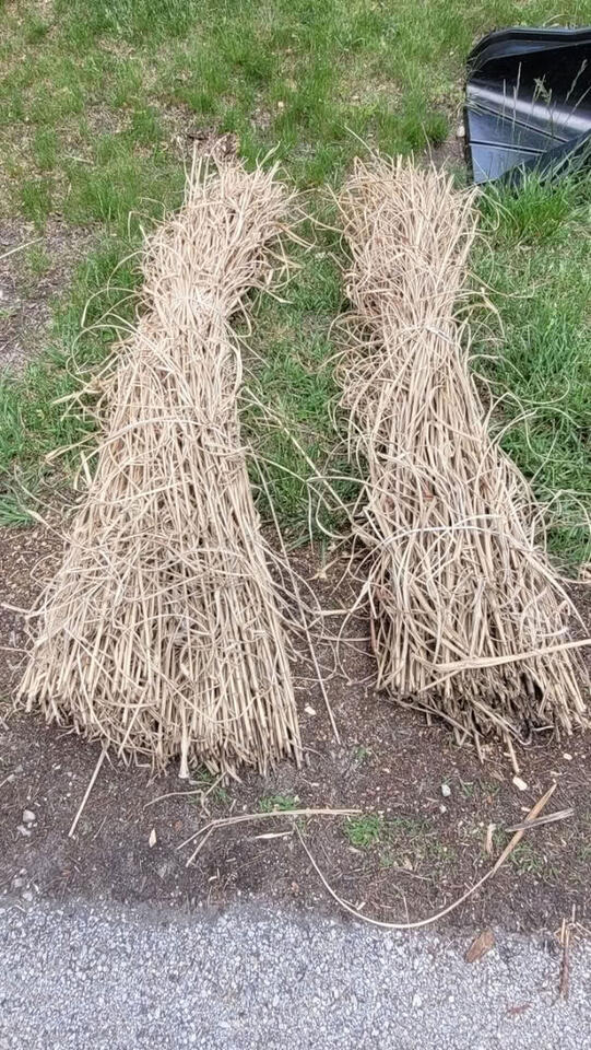 🎁 Freebies Up for Grabs in Winfield — Straw, Shoes & More - NewsBreak
