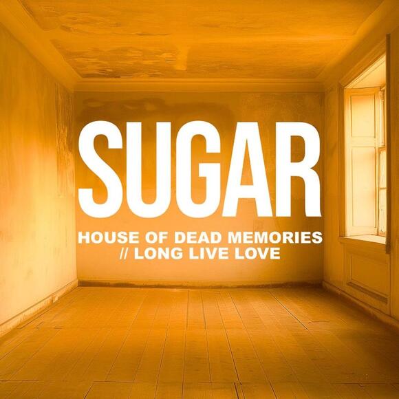Sugar Announce First World Tour Dates in 31 Years - NewsBreak