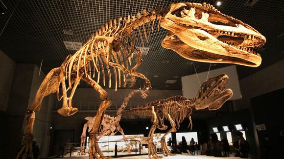 Beyond T-Rex: Discovering the Most Ferocious Predators of the Mesozoic ...
