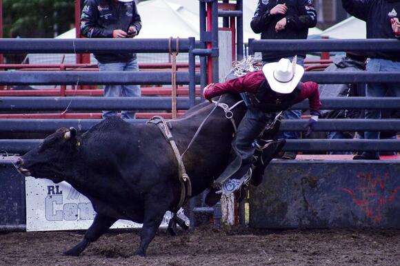 Yelm military bull rider working to turn hobby into profession