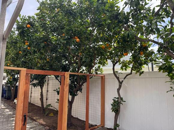 🎁 Freebies Up for Grabs in Redondo Beach Right Now - NewsBreak