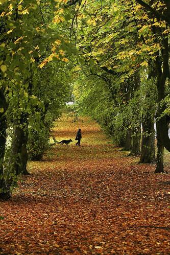 Connellsville Weather Forecast - NewsBreak