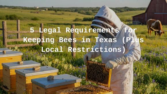 5 Legal Requirements for Keeping Bees in Texas (Plus Local Restrictions ...