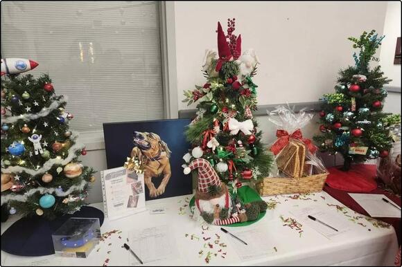 Great Falls Welcomes Festival Of Trees This Weekend - NewsBreak