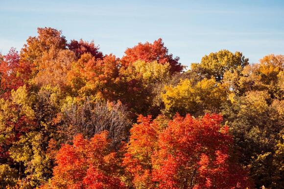 North Dakota Spot Named One Of Top 30 Must See For Fall Colors - NewsBreak